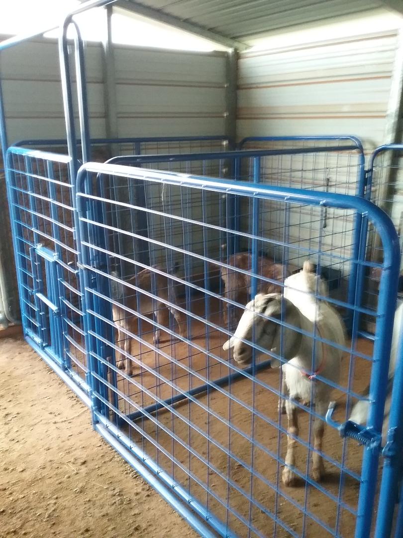 PANELS – GATES – PENS – Lazy JV Ranch Equipment Sales